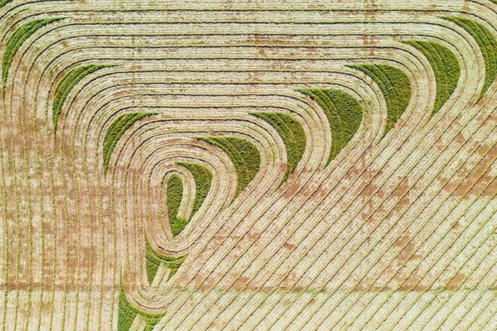 Image of Aerial view of harvesting patterns in an empty paddock ...