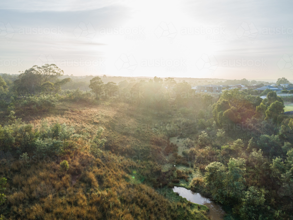 Image of Aerial view of morning light over bushland at the edge of a ...