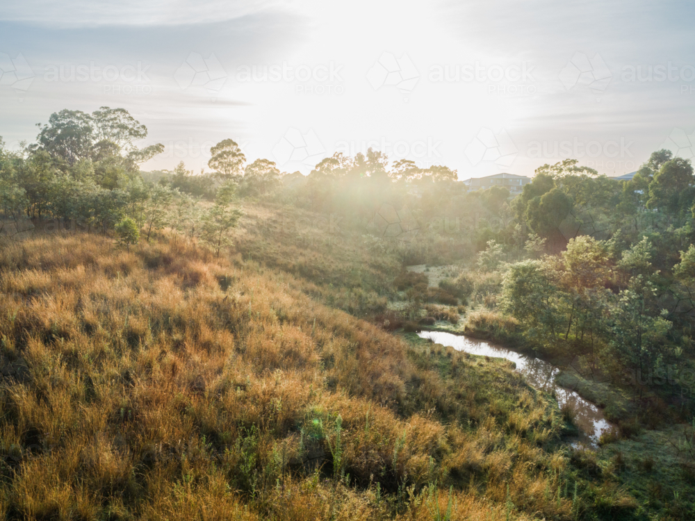 Image of Aerial view of morning light over bushland with creek through ...