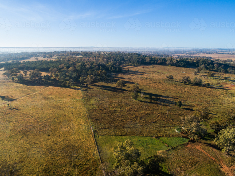 Image of Aerial view of old metal cattle yard fences in grassy farm ...