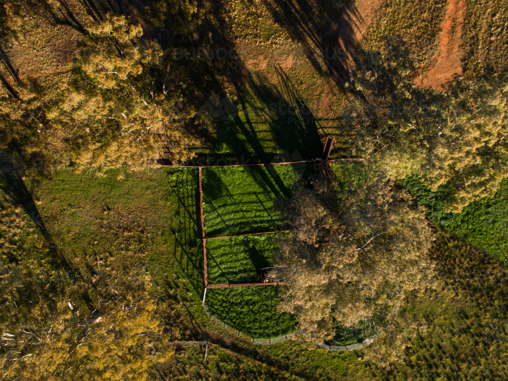 Image of Aerial view of old metal cattle yard fences in grassy farm ...