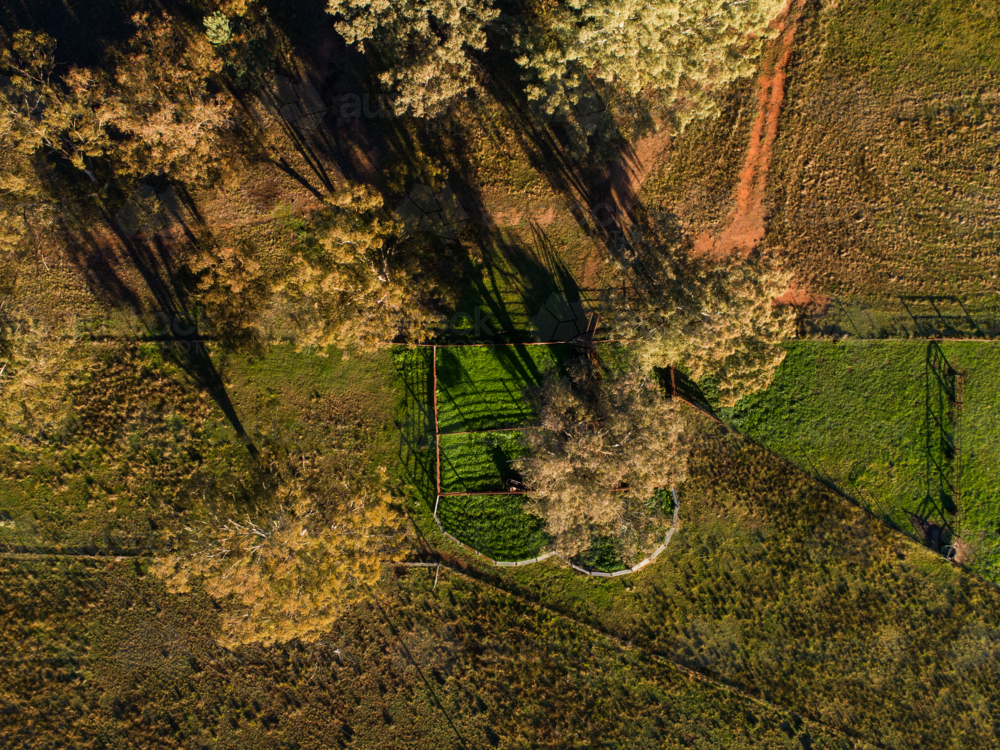 Image of Aerial view of old metal cattle yard fences in grassy farm ...