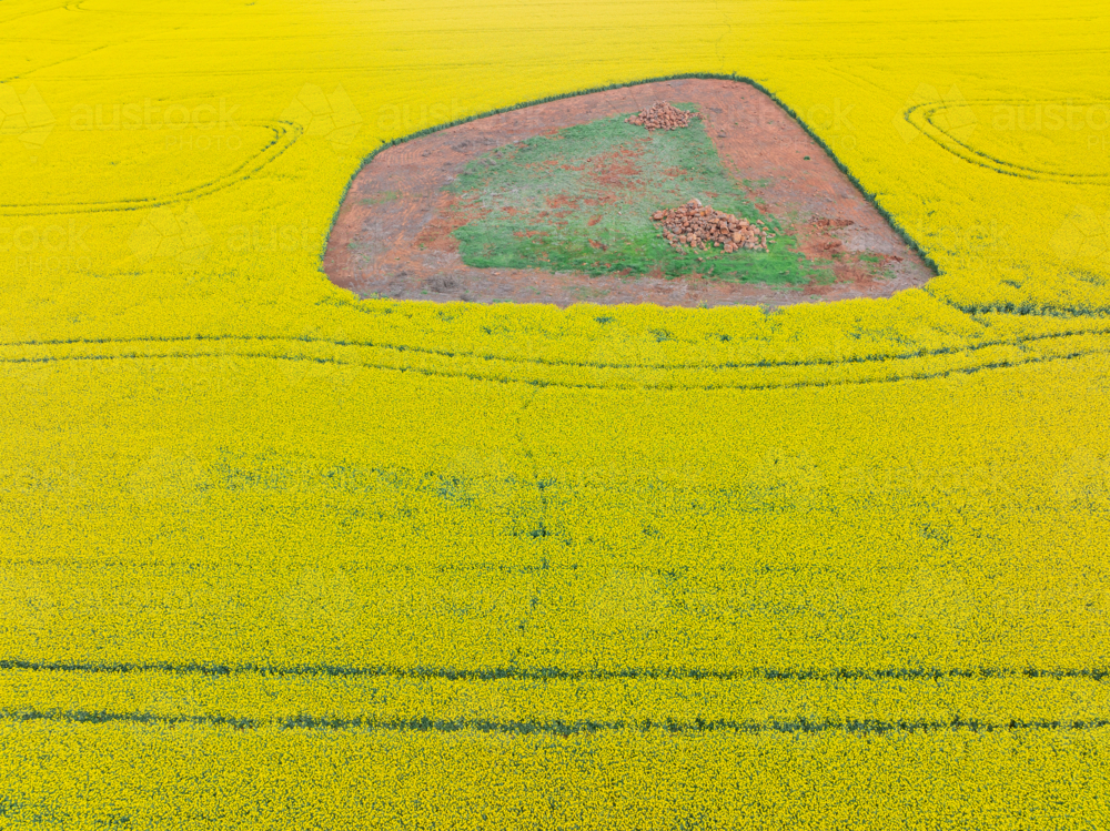Image of Aerial view of parallel lines around a rocky patch in a ...