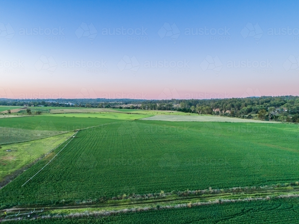 Image of Aerial view of pastel dusk sky above lush green lucerne crop ...