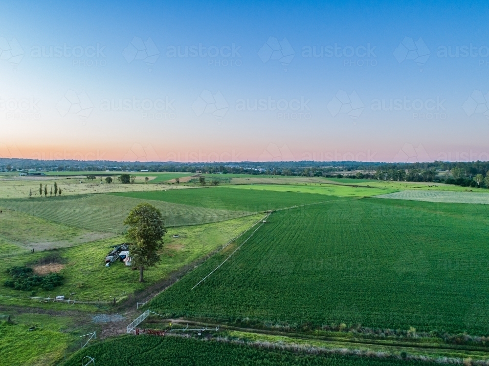 Image of Aerial view of pastel dusk sky above lush green lucerne crop ...