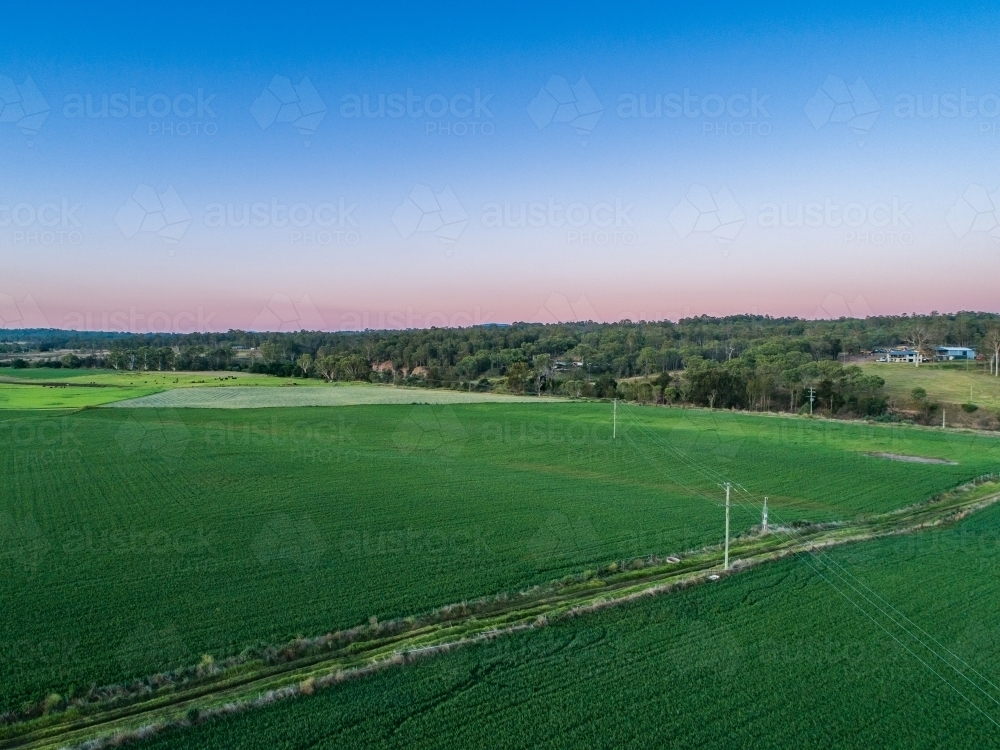 Image of Aerial view of pastel dusk sky above lush green lucerne crop ...