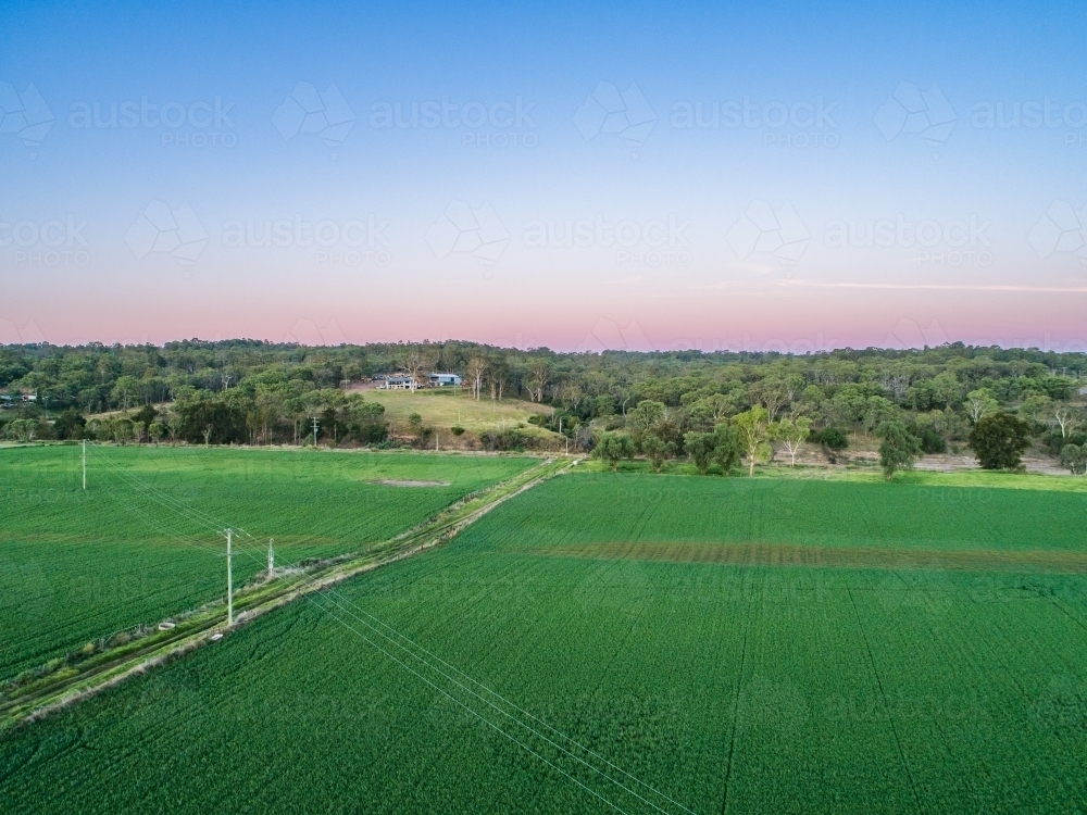 Image of Aerial view of pastel dusk sky above lush green lucerne crop ...