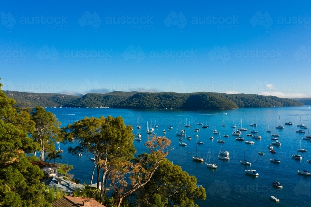 Image of aerial view of Pittwater, Clareville area - Austockphoto