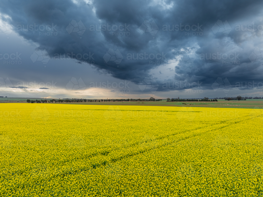 Image of Aerial view of rain falling from dark dramatic clouds over a ...