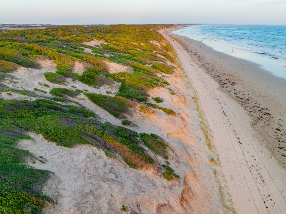 Image of Aerial view of sand dunes and vegetation above sandy beach ...