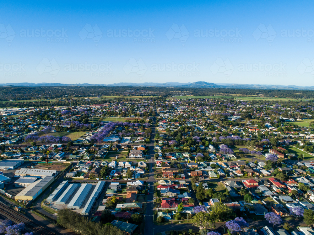Image of Aerial view of streets and houses of residential area in ...