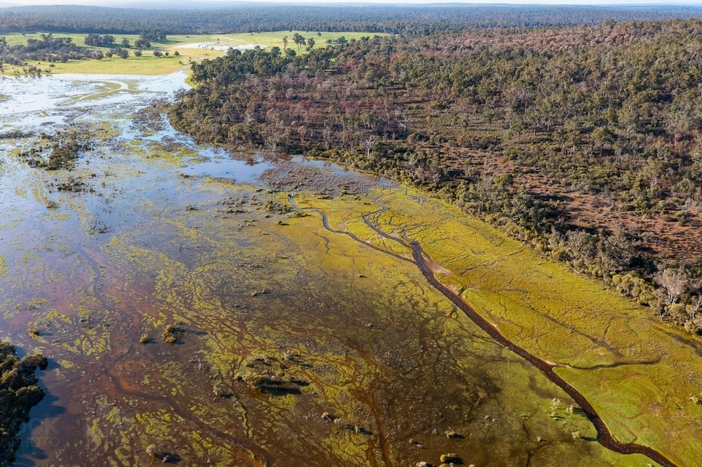 Image of Aerial view of swamp and bush land in rural area - Austockphoto