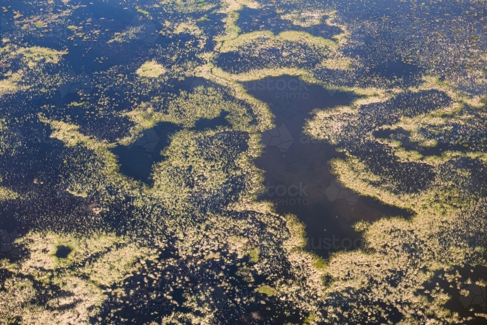 Image of Aerial view of swamp land in Lake Connewarre - Austockphoto