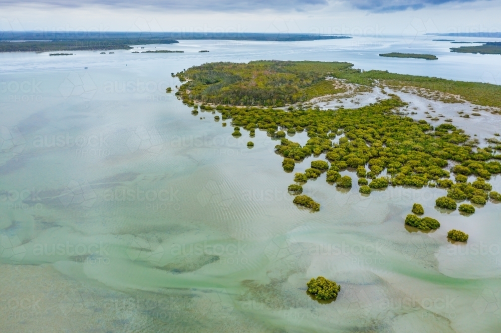 Image of Aerial view of tidal patterns and mangroves in a coastal ...