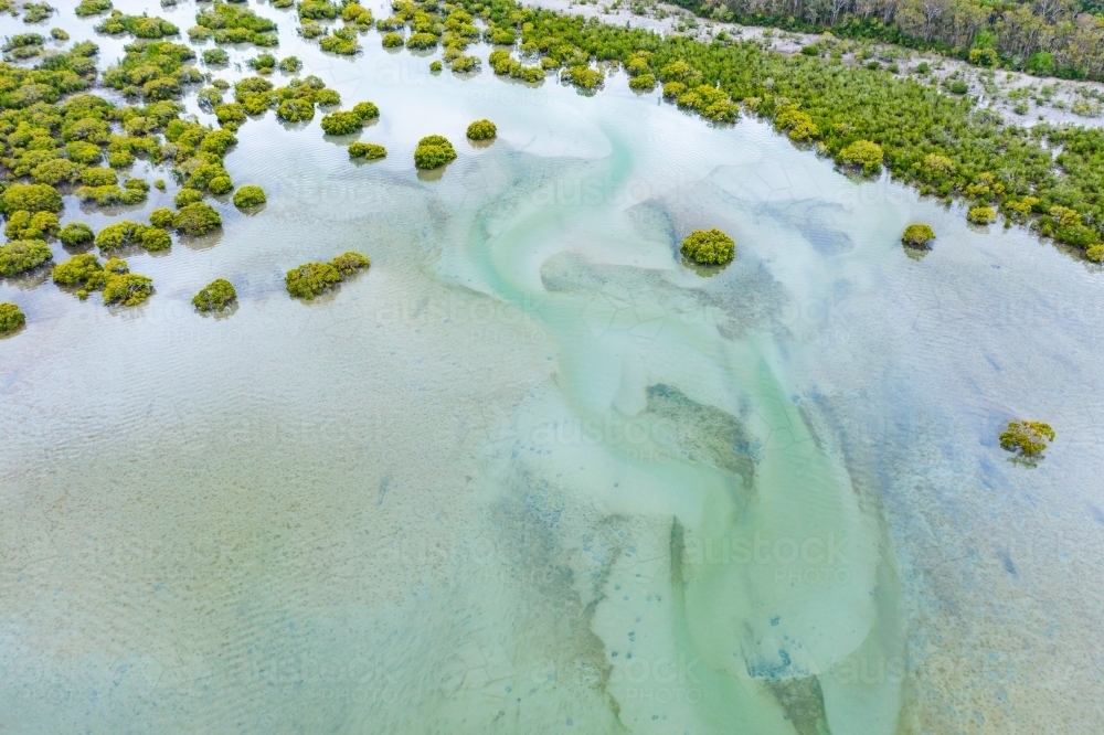 Image of Aerial view of tidal patterns and mangroves in a coastal ...