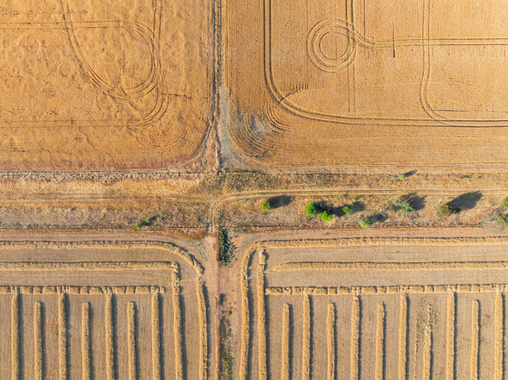 Image of Aerial view of track marks in a grain crops around a rural ...