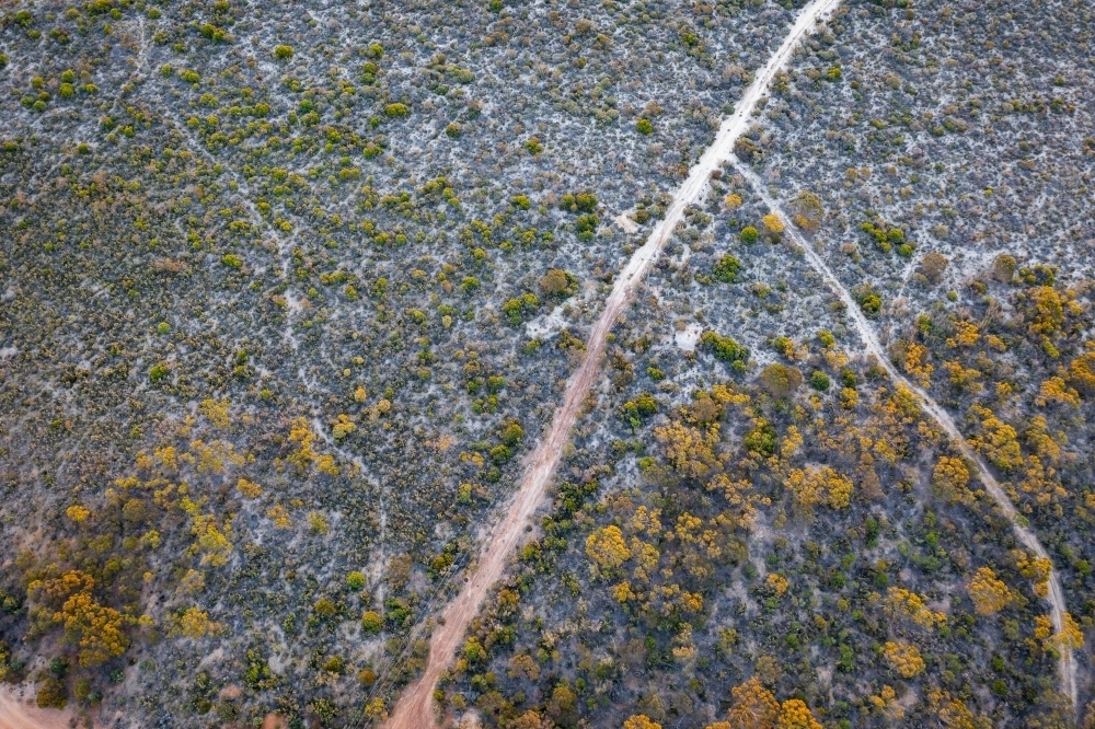 Image of aerial view of track through low bushland - Austockphoto