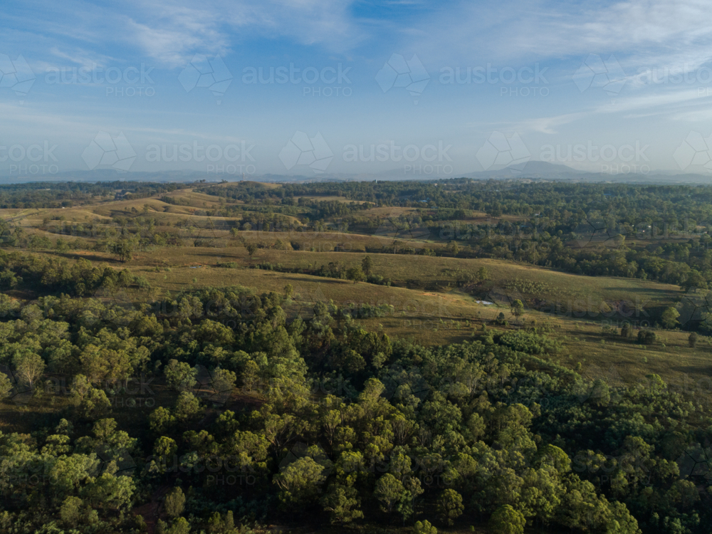 Image of aerial view of trees undulating hills in rural country paddock ...