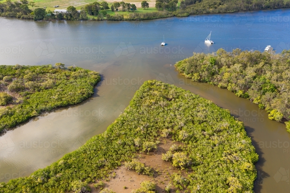 Image of Aerial view of two creeks joining a river with vegetation ...