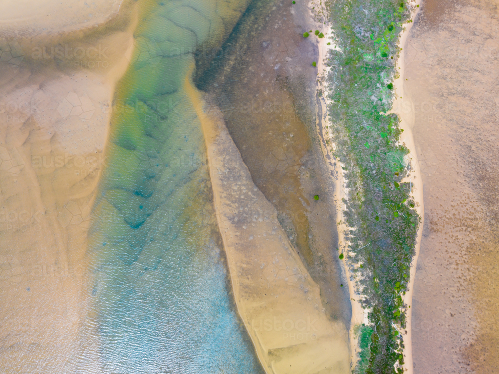 Image of Aerial view of vegetation on a coastal sand bar in a tidal ...