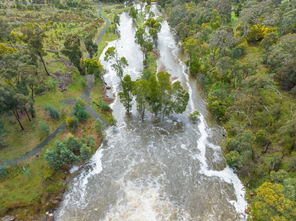 Image of Aerial view of water rushing around trees in swollen river ...