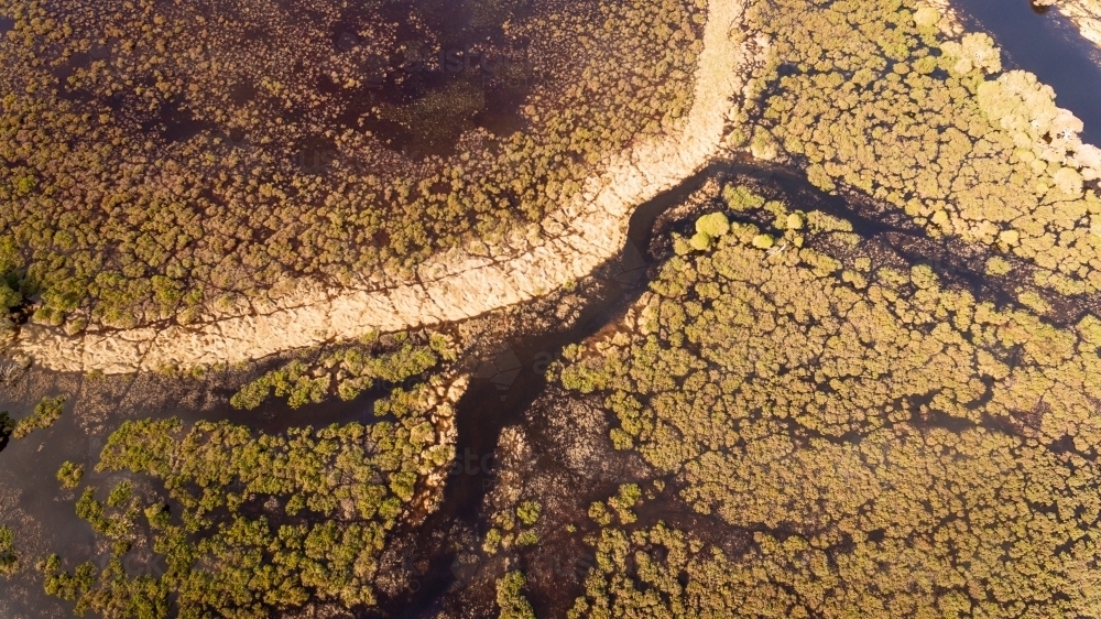 Image of Aerial view of wetland area - Austockphoto