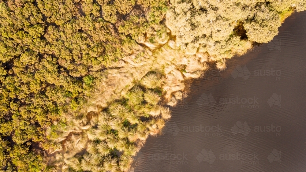 Image of Aerial view of wetland area - Austockphoto