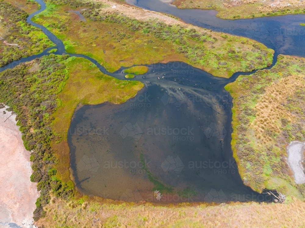 Image of Aerial view of wetlands with colourful vegetation and creeks ...
