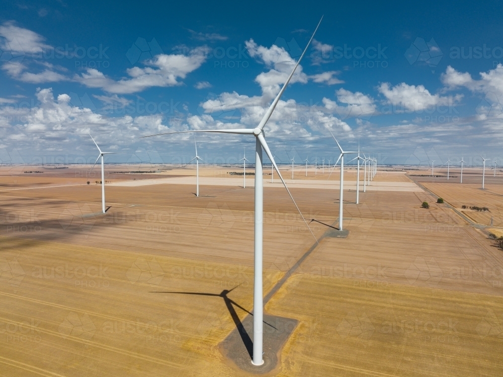 Image of Aerial view of wind turbines scattered over rural farmland ...