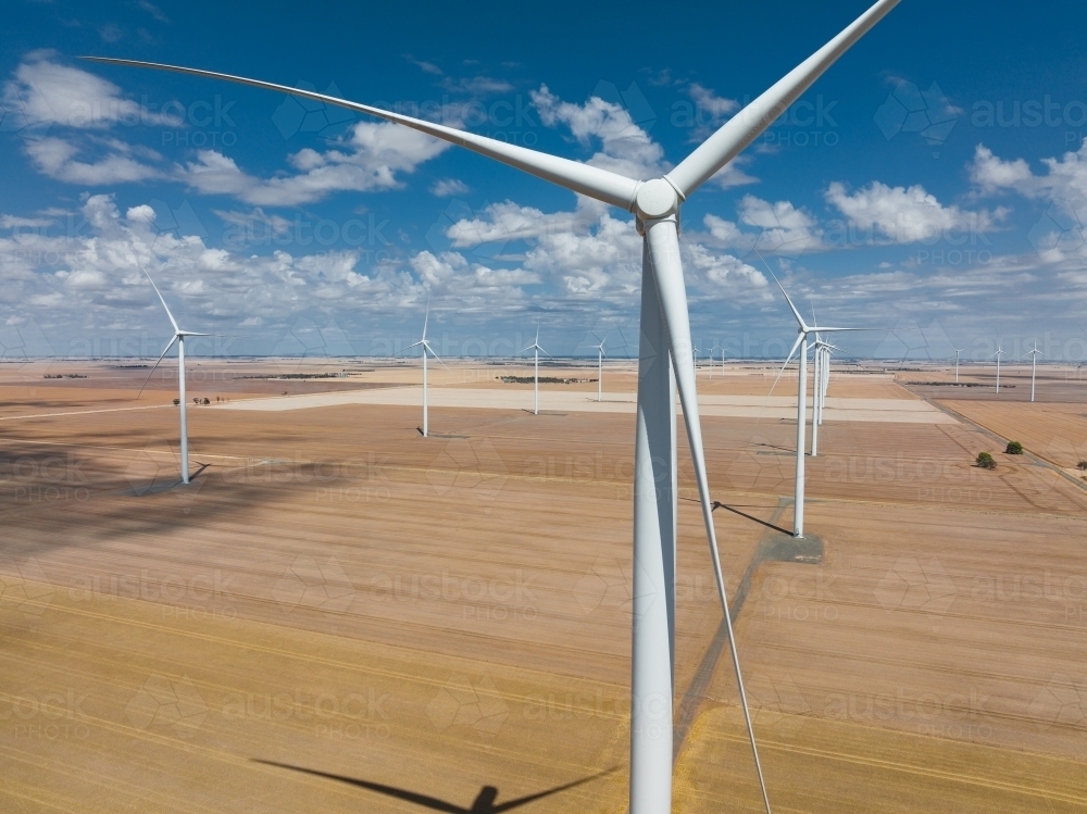Image of Aerial view of wind turbines scattered over rural farmland ...