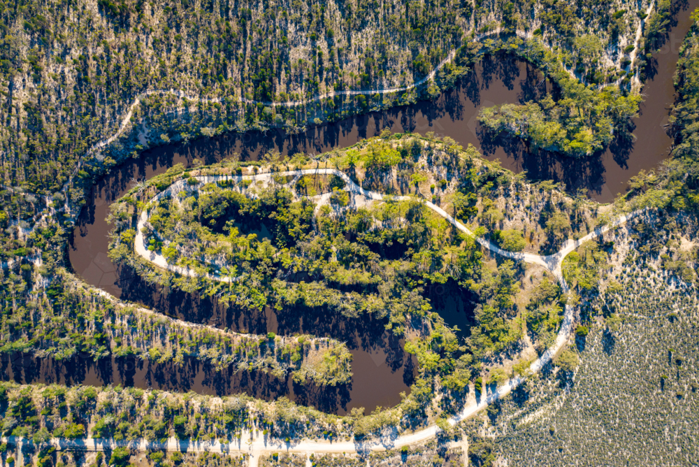 Image of Aerial view of winding river bends through dry forest with ...