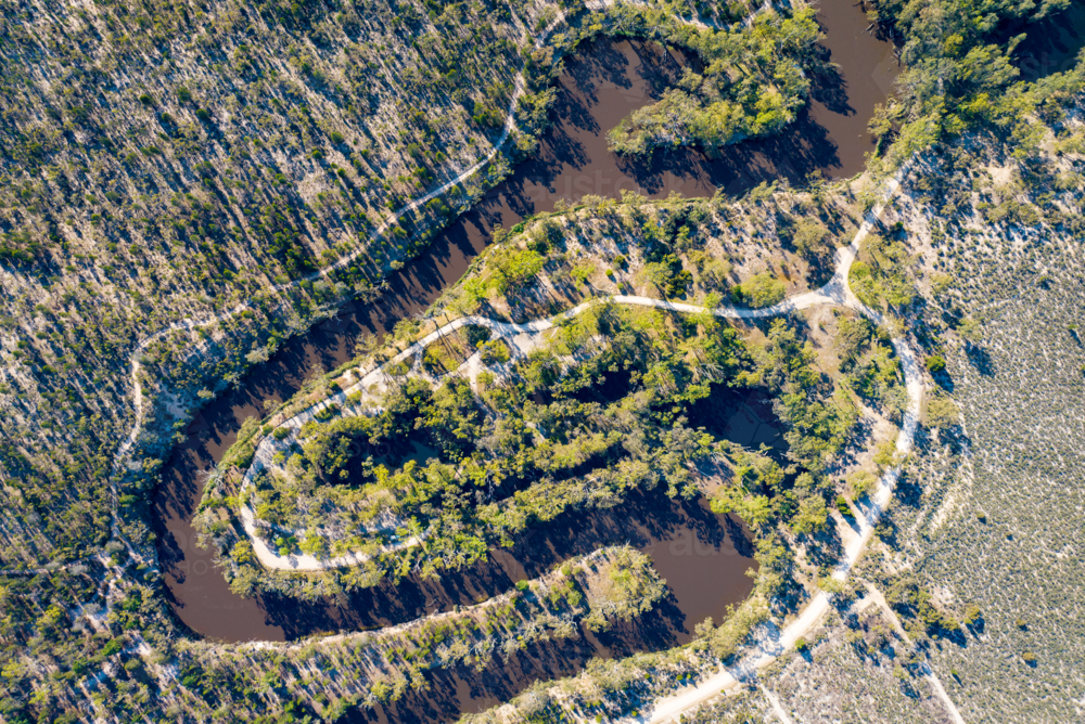Image of Aerial view of winding river bends through dry forest with ...