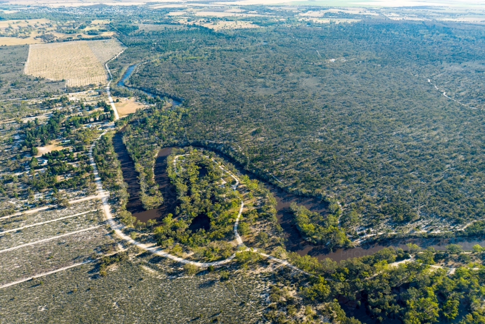 Image of Aerial view of winding river channels through dense forest and ...