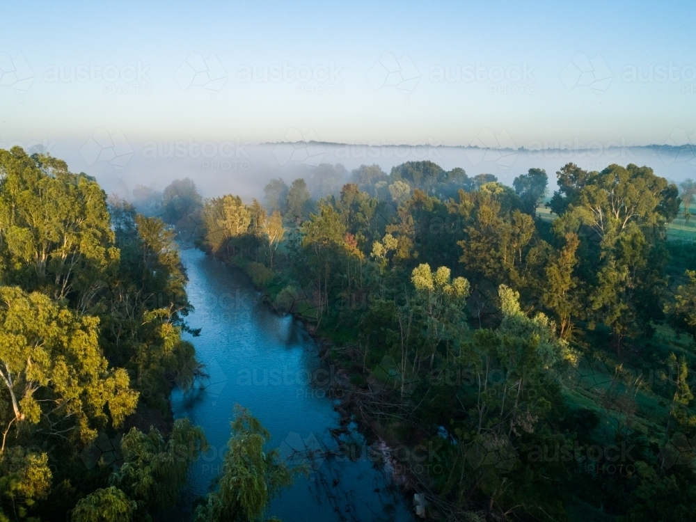 Image of Aerial view over Hunter river in Australia with gum trees ...