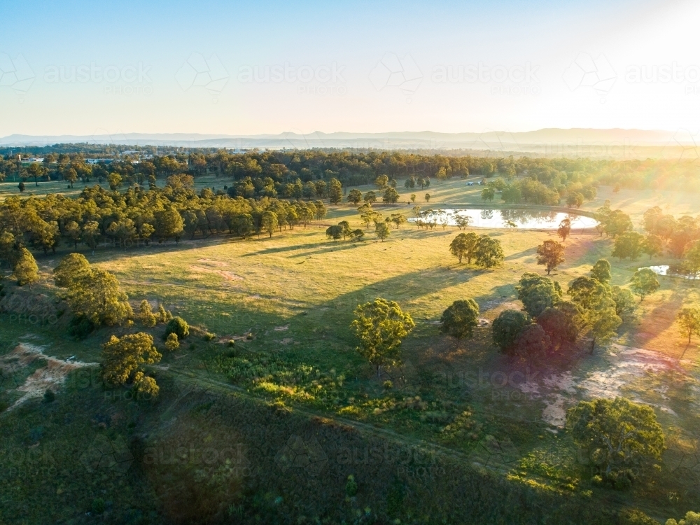 Image of Afternoon sunlight over a paddock of trees with a dam in the ...