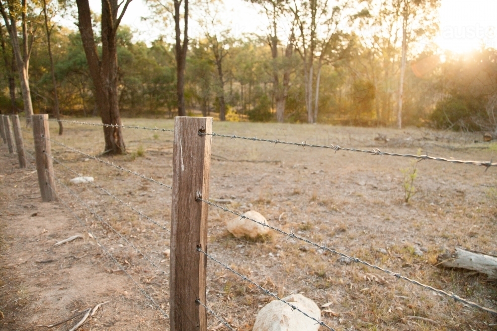Image of Afternoon sunlight shining over bush landscape and fence ...