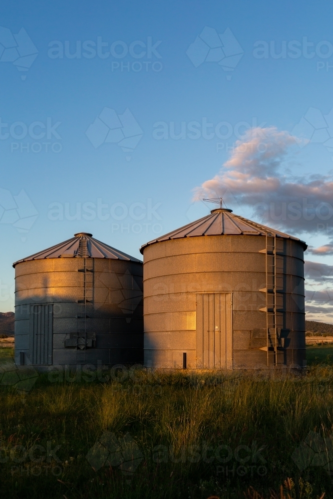 Image of agricultural infrastructure on-farm storage - pair of grain ...
