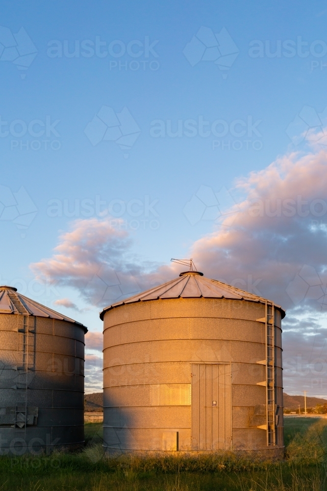 Image of agricultural infrastructure on-farm storage - pair of grain ...
