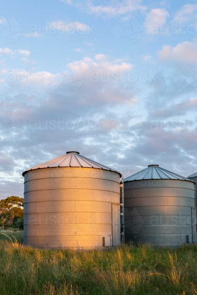 Image of agricultural infrastructure on-farm storage - pair of grain ...