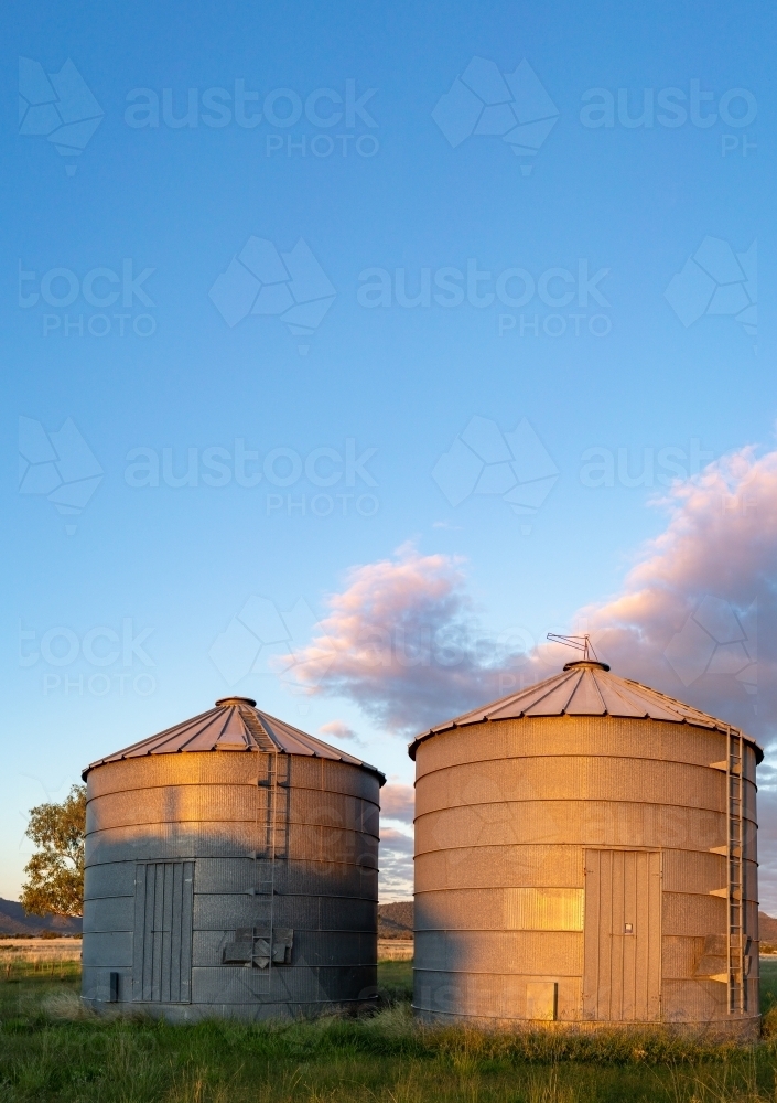 Image of agricultural infrastructure on-farm storage - pair of grain ...