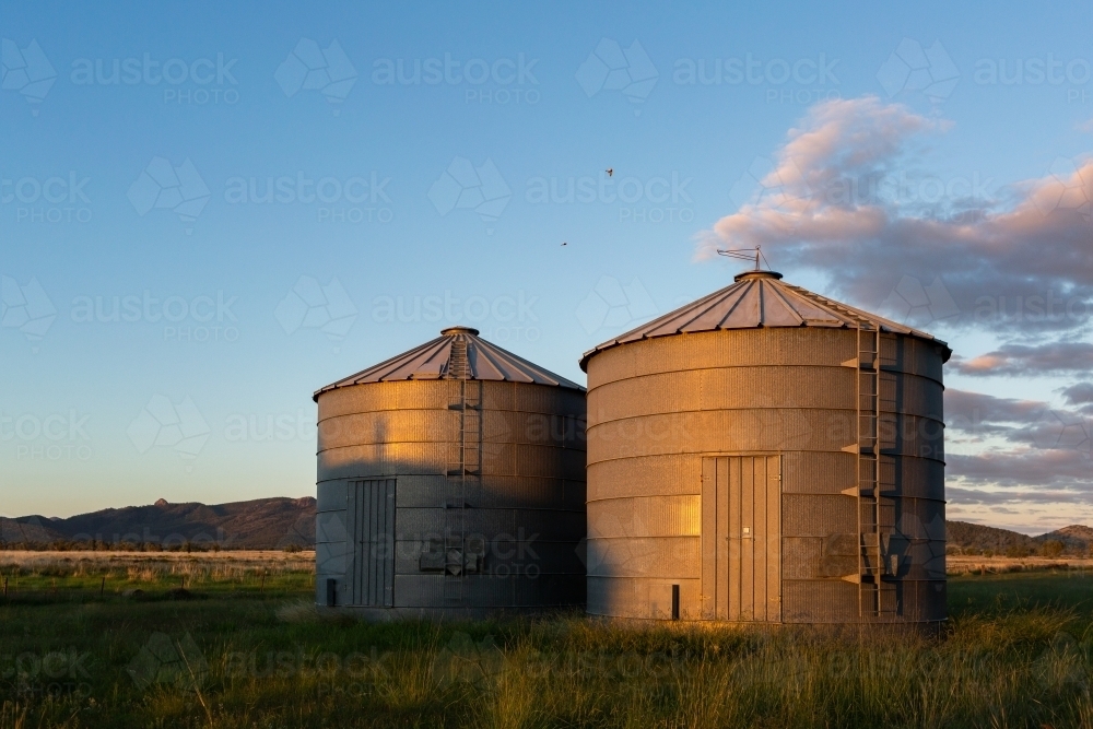 Image of agricultural infrastructure on-farm storage - pair of grain ...