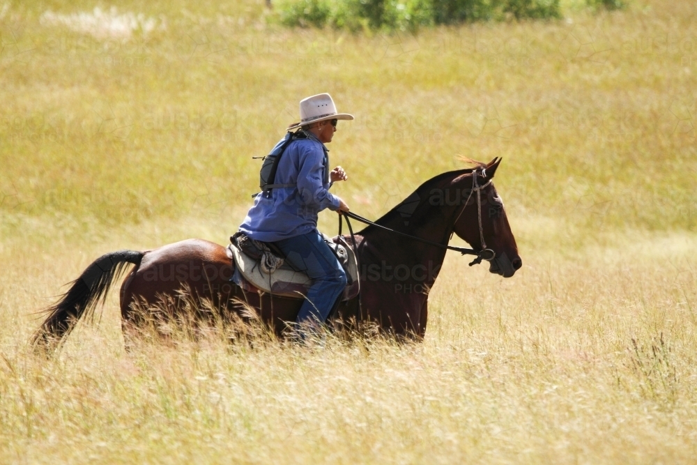 Image of An aboriginal woman riding a horse in tall grass. - Austockphoto
