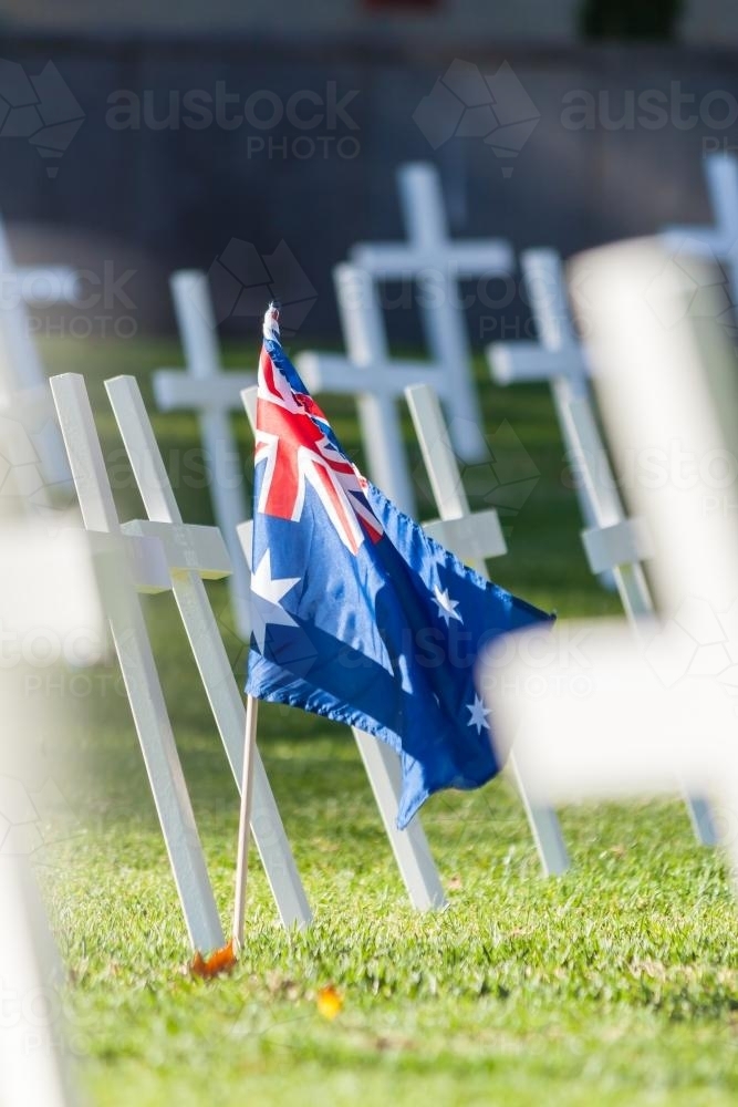 Image of An Australian flag amongst a field of crosses - Austockphoto