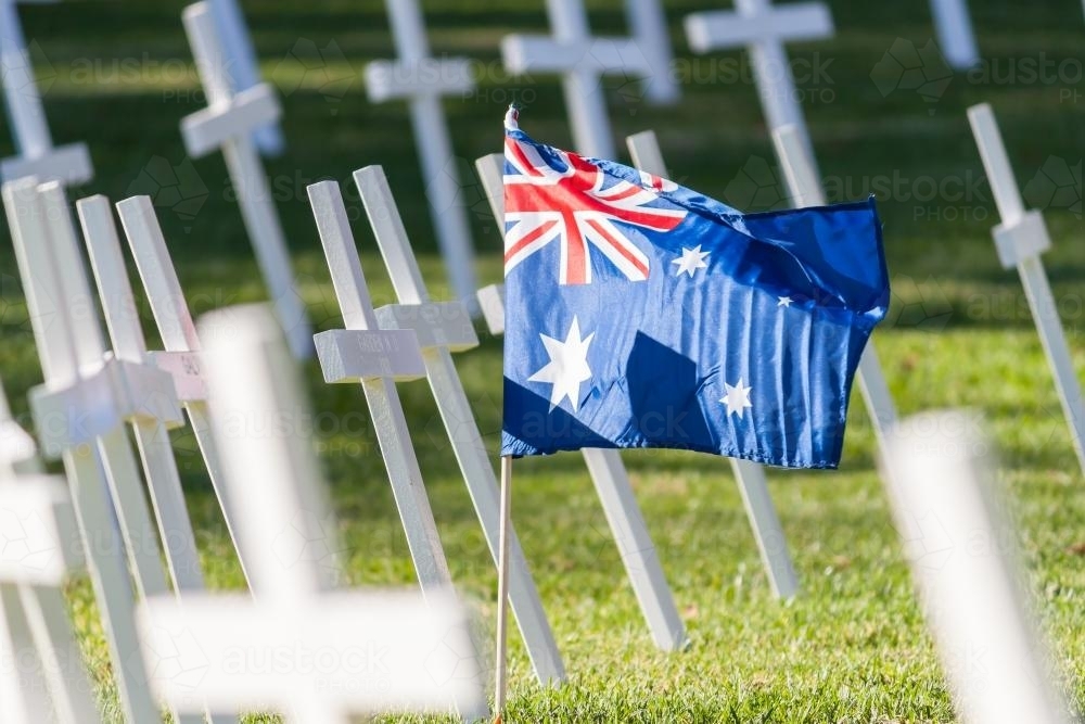 Image of An Australian flag amongst a group of crosses - Austockphoto