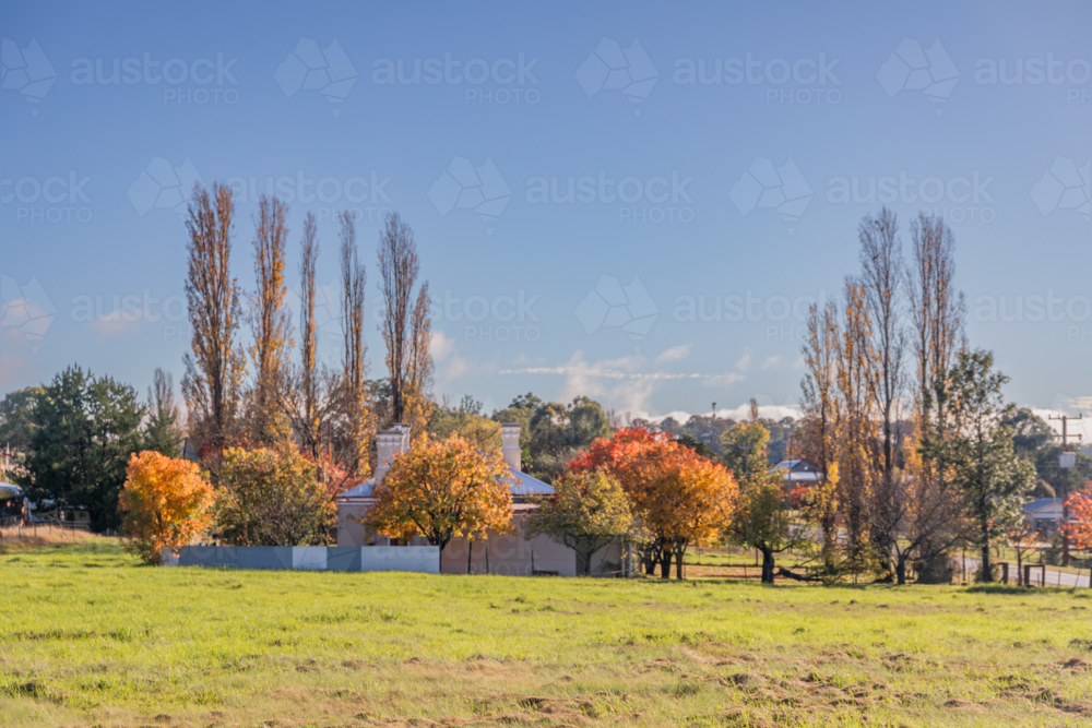 Image of An autumn scene in the country under a blue sky - Austockphoto