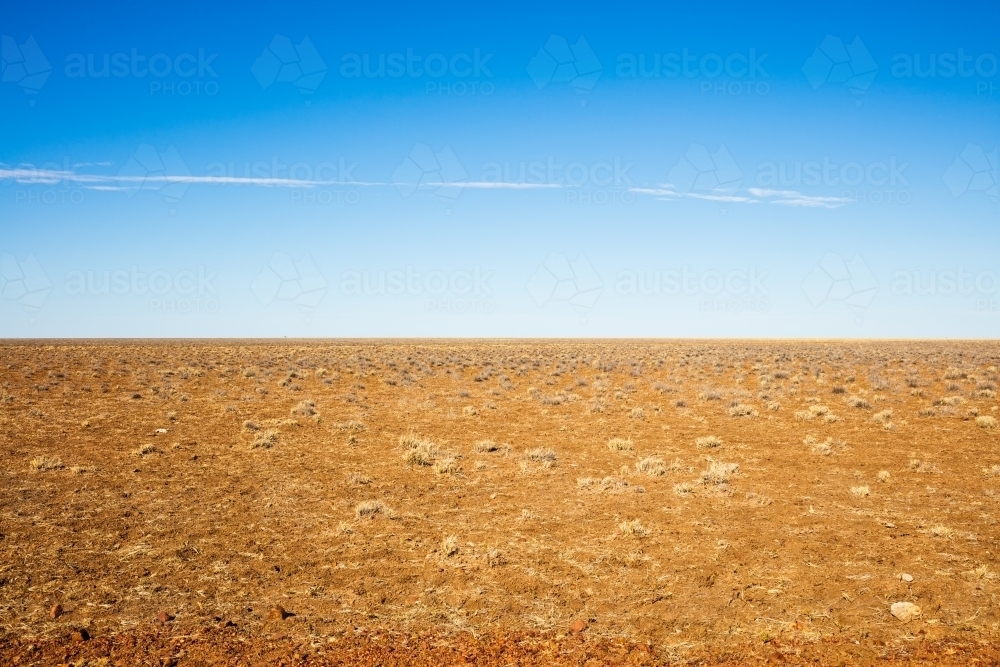 Image of An open dry paddock with endless views at Alexandria Station ...