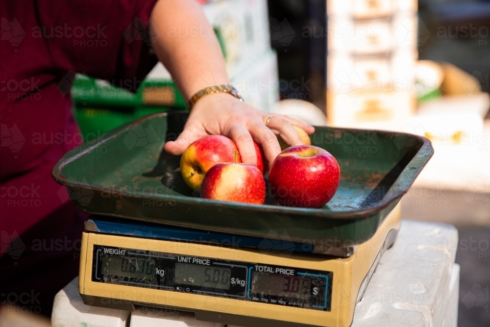 Image of apples on a scale getting weighed - Austockphoto