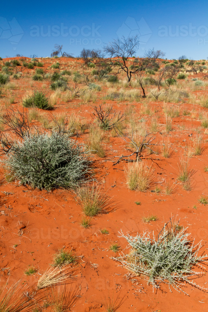 Image of Arid landscape in the Pilbara region of Western Australia ...