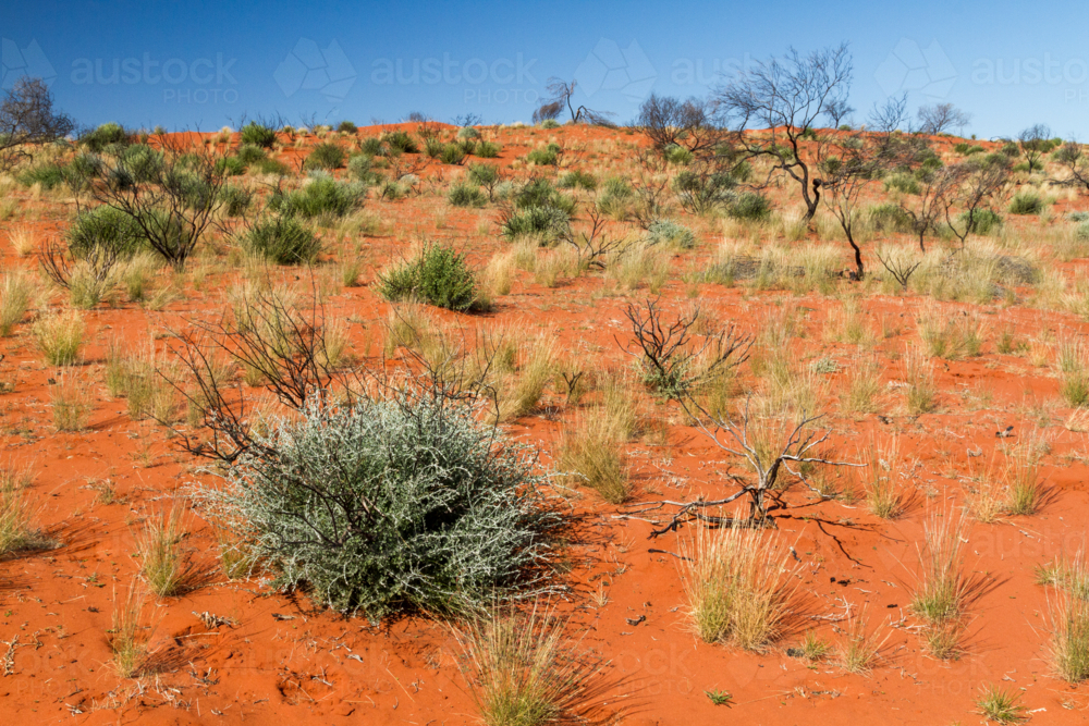 Image of Arid landscape in the Pilbara region of Western Australia ...