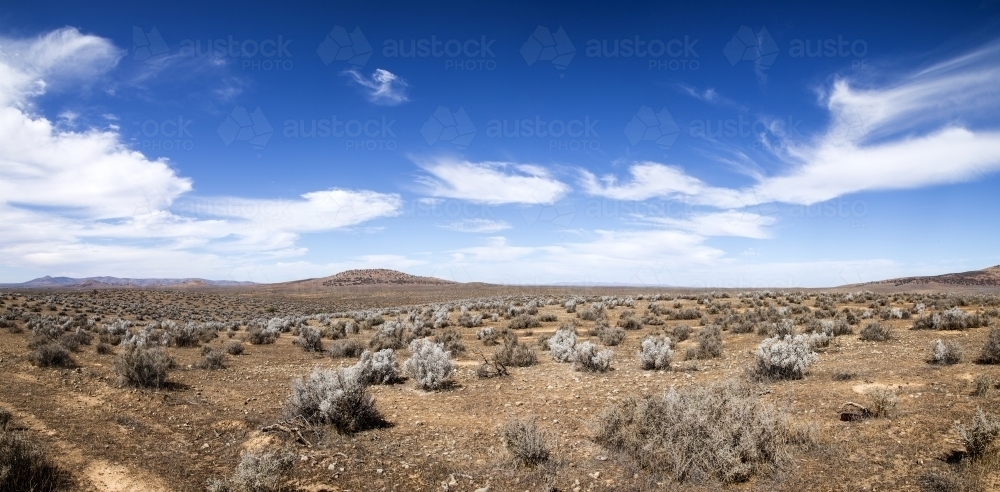 Image of Arid landscape under streaky clouds - Austockphoto